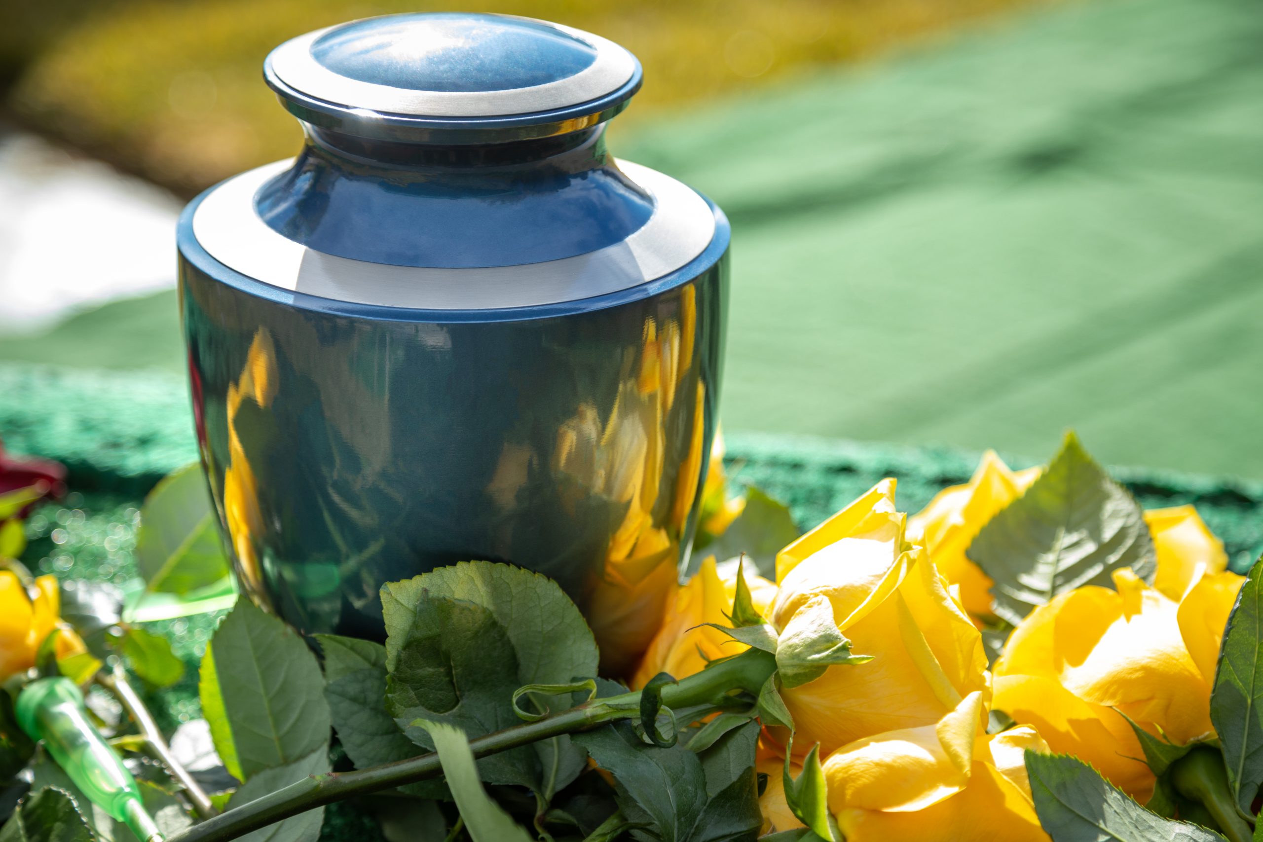 Cremation Popularity And Five Interesting Facts Blog Cremation Cremation Popularity And Five Interesting Facts Blog Cremation